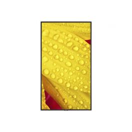 NEC MultiSync ME501 ME Series - 50" LED-backlit LCD display - 4K - for ...